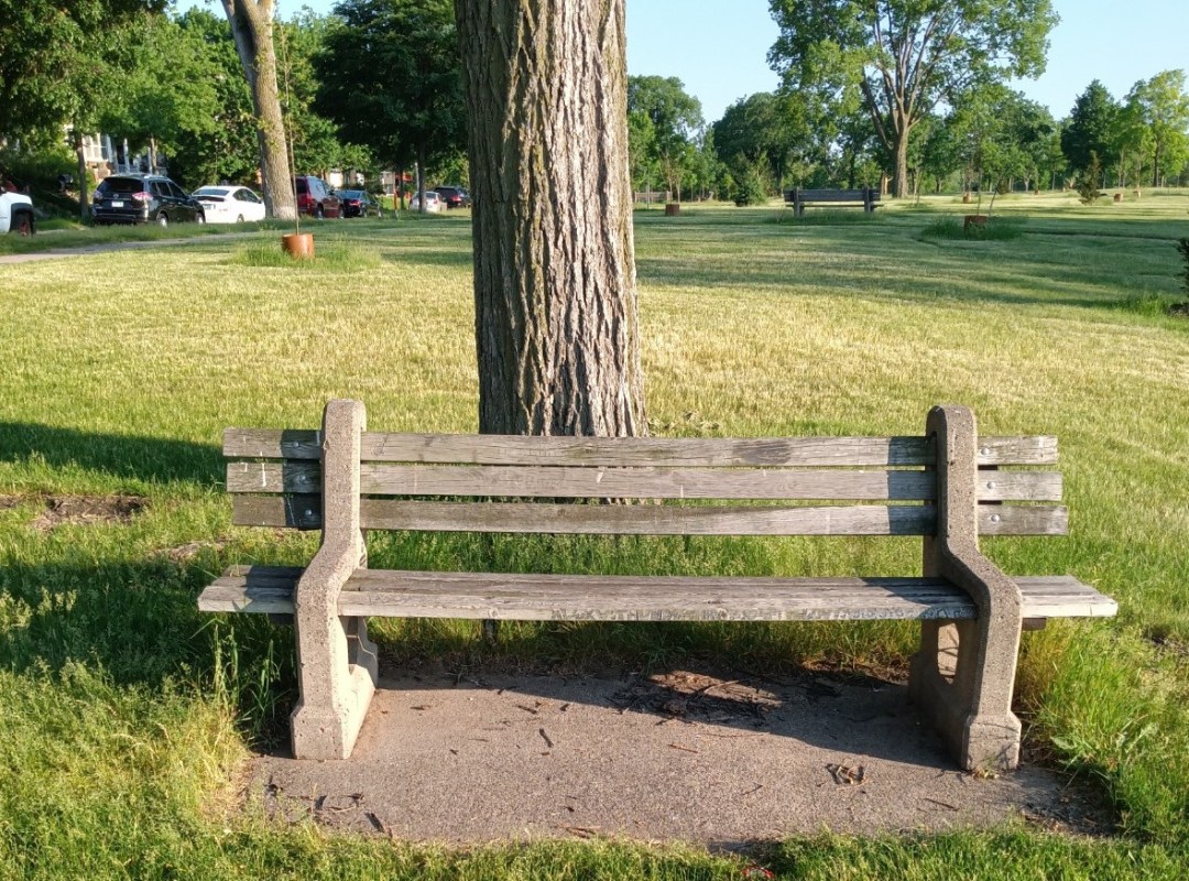Twin Cities Reading Benches, Ranked - Racket