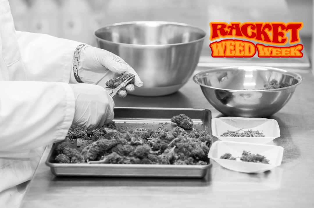 Minnesota's Weird, Wild Weed Experiment: What Happens Next? - Racket