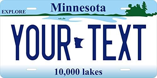 10 Things We Learned While Reading 93,188 Personalized MN License ...