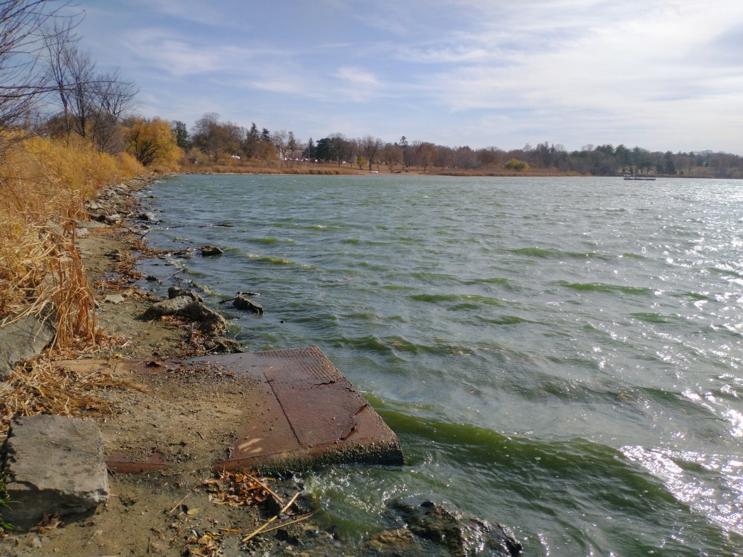 Um, So Lake Hiawatha Is Really Green Right Now - Racket
