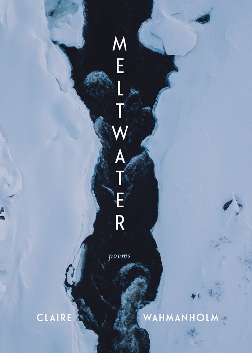 8 Books by Minnesota Authors We’re Excited for in 2023 - Racket