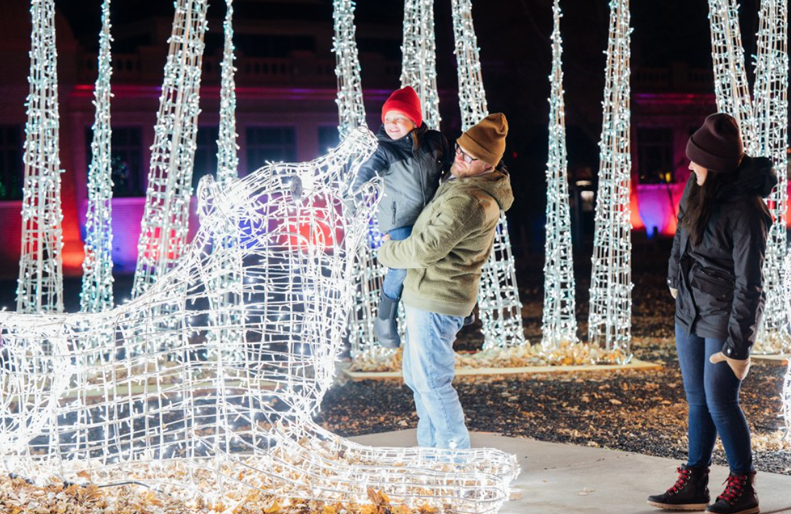 Holiday Light Shows, Winter Bars, and Free Curling Lessons: This Week's ...