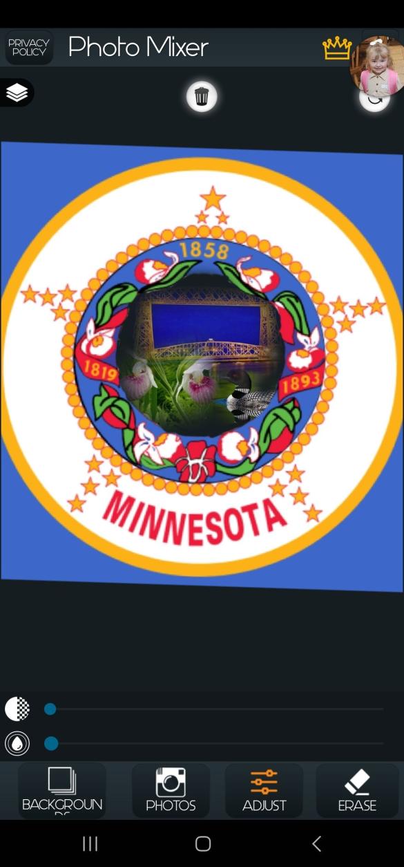 The 30 Goofiest New MN State Flag Design Submissions - Racket