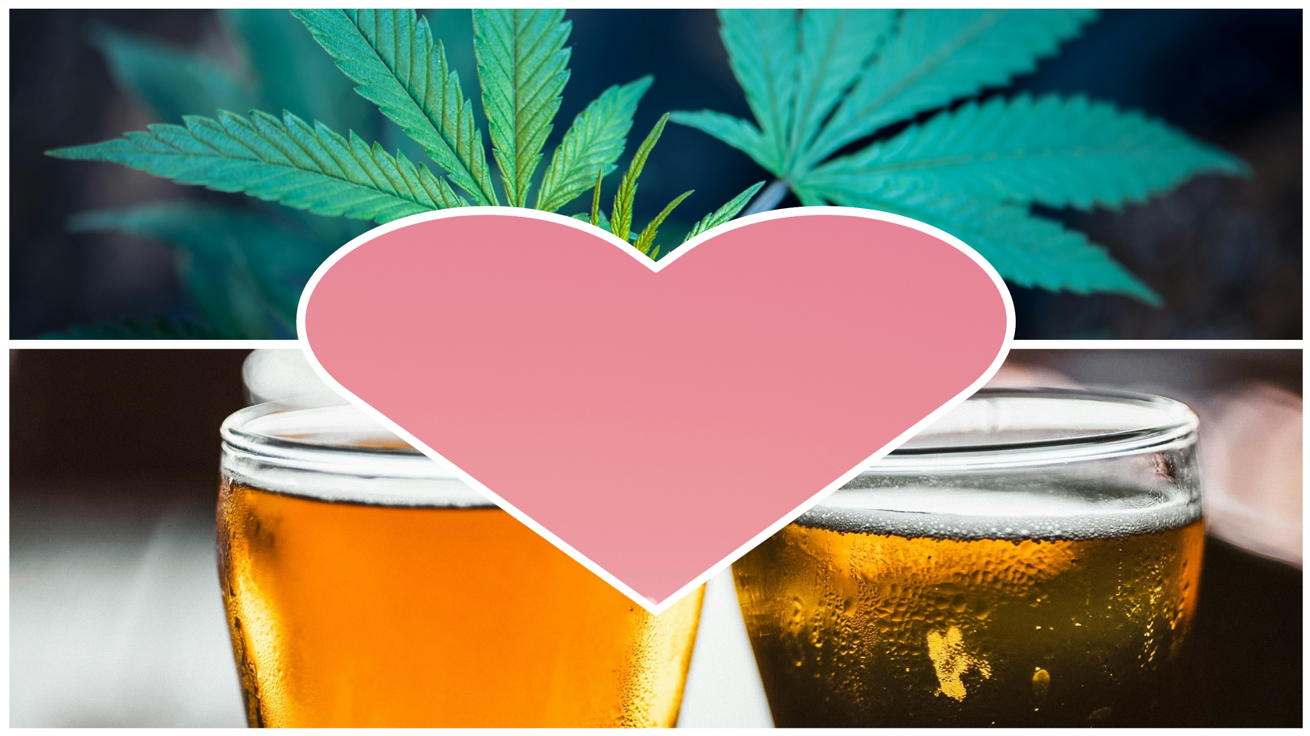 New Bill Will Let Us Crossfade THC and Alcohol, Responsibly - Racket