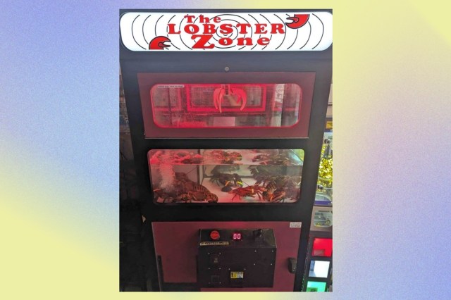 Consider the Lobster Zone: MN's Last Functioning Seafood Claw Game for ...