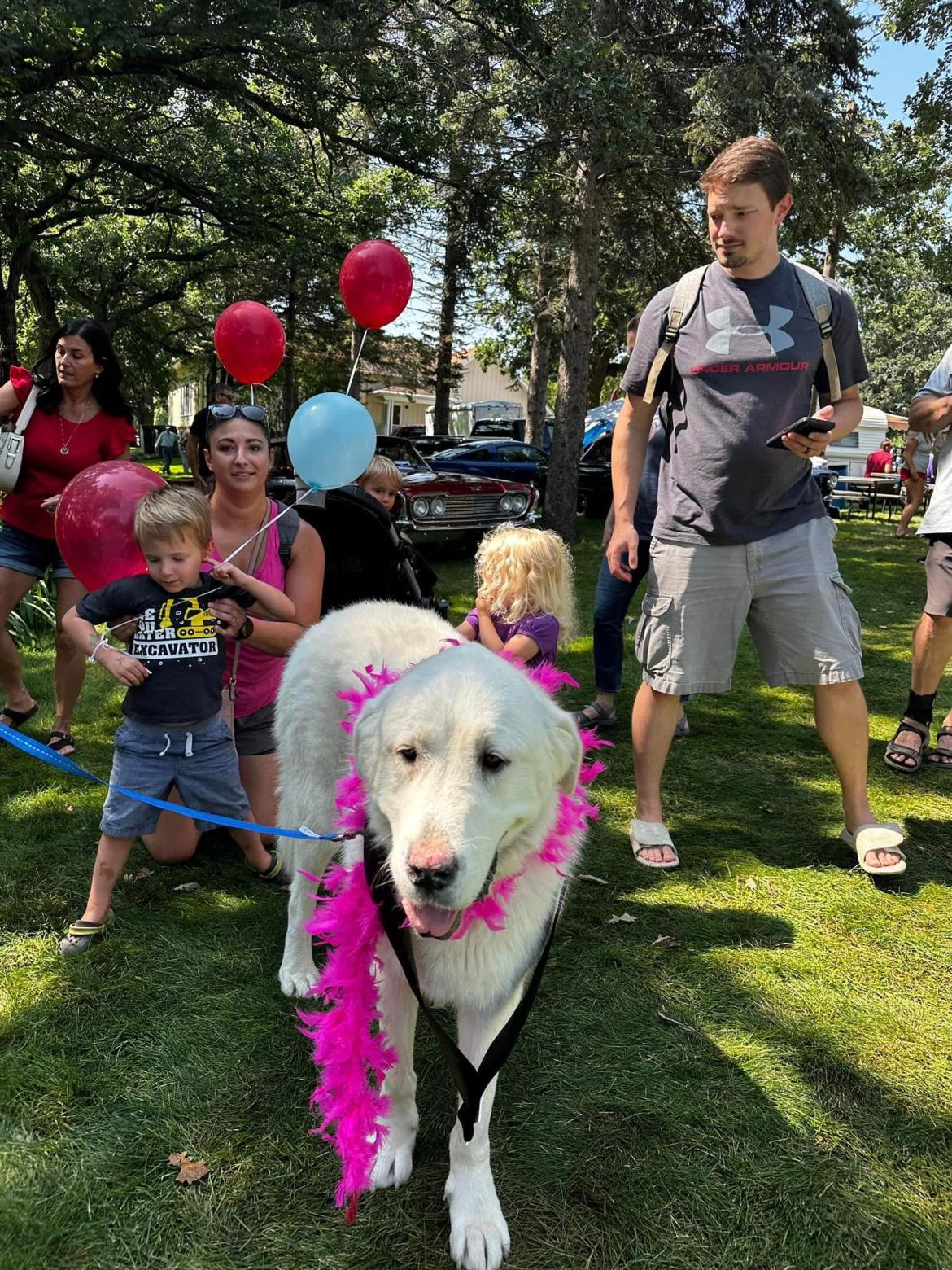 We Gotta Talk About Stribby, the Rebranded Strib's New Duck Mascot - Racket