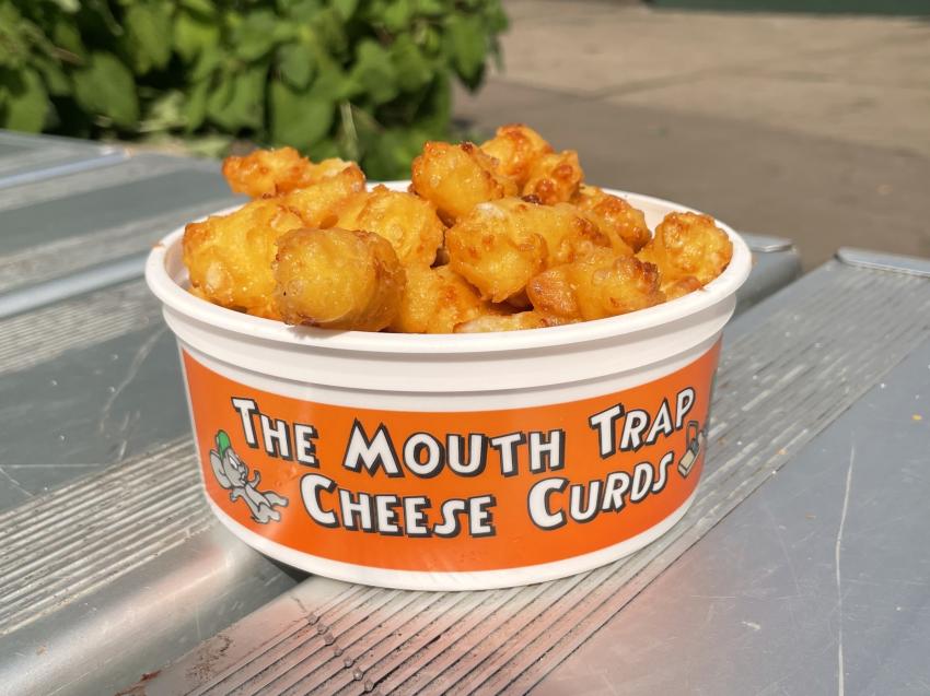 Great MN Spend-Together: A State Fair Money Journal - Racket