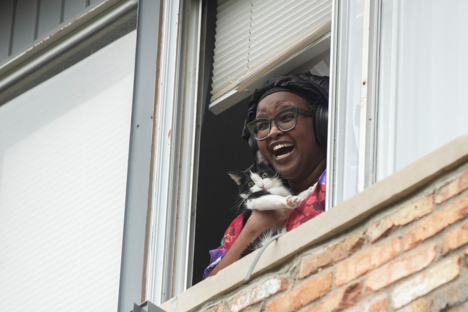 Meow-Tastic Scenes From the 2025 Wedge LIVE! Cat Tour - Racket