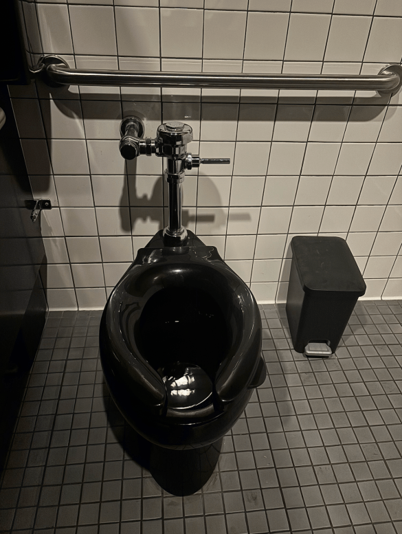 The Most Stylish, Disturbing, and Mysterious Toilets in the Twin Cities ...