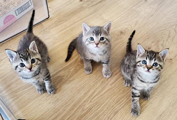 Freeloader Friday: 71 Free Things To Do This Weekend - Racket